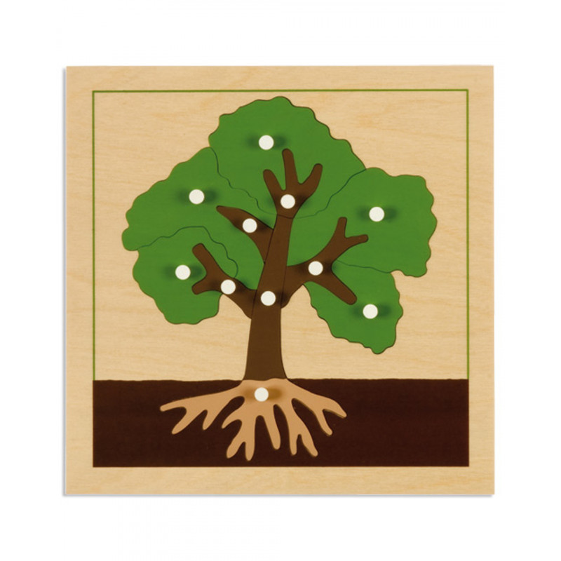 BOTANY PUZZLE: TREE | GAM