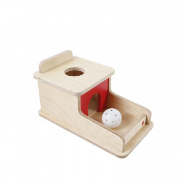 OBJECT PERMANENCE BOX WITH TRAY | GAM