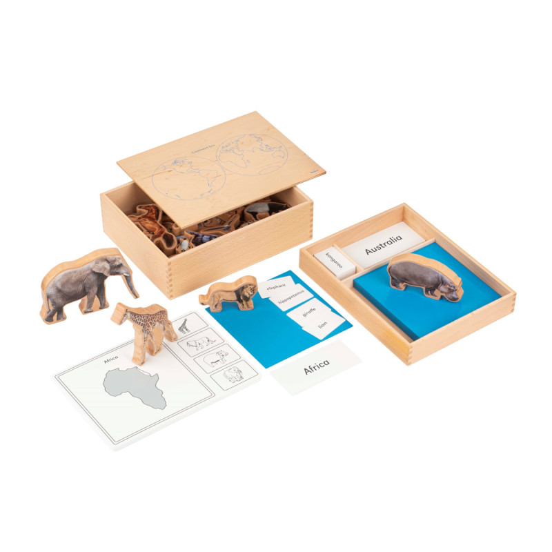 THE ANIMAL CONTINENT BOX | GAM