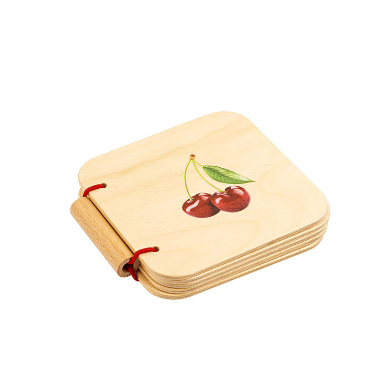 MY FIRST BOOK: FRUIT | GAM