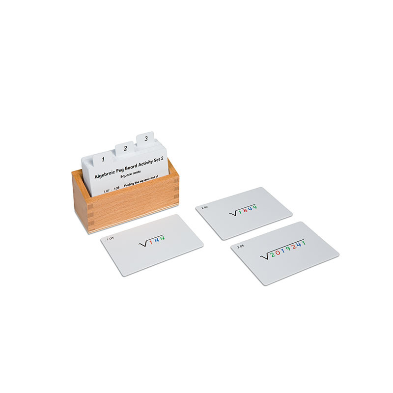 ALGEBRAIC PEG BOARD ACTIVITY SET: 2 | GAM